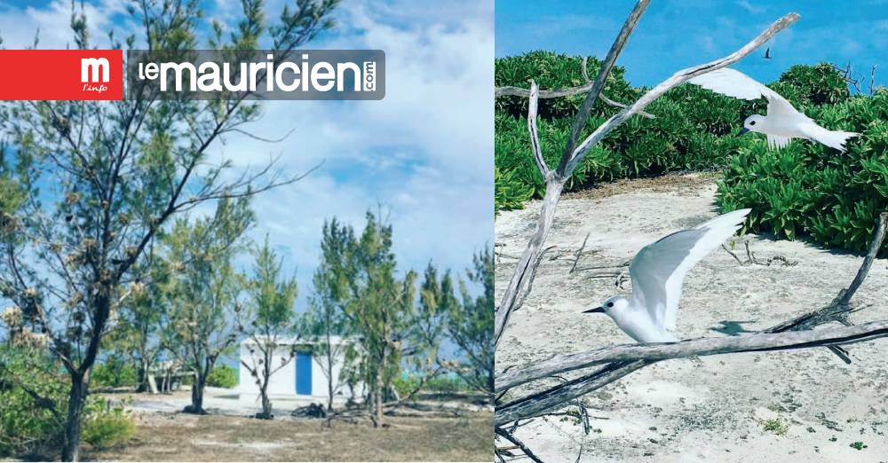 St-Brandon – Vers une mainmise de l’état mauricien : Les étapes menant ...